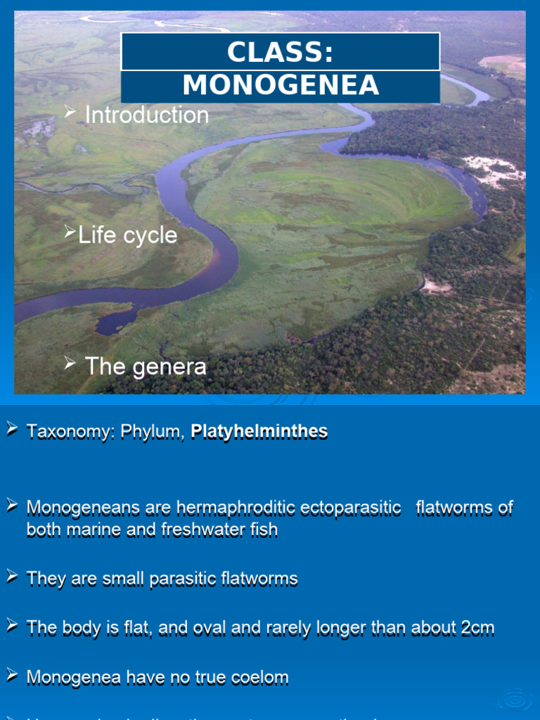 Hons Presentation Monogenea 2022 | PDF | Zoology