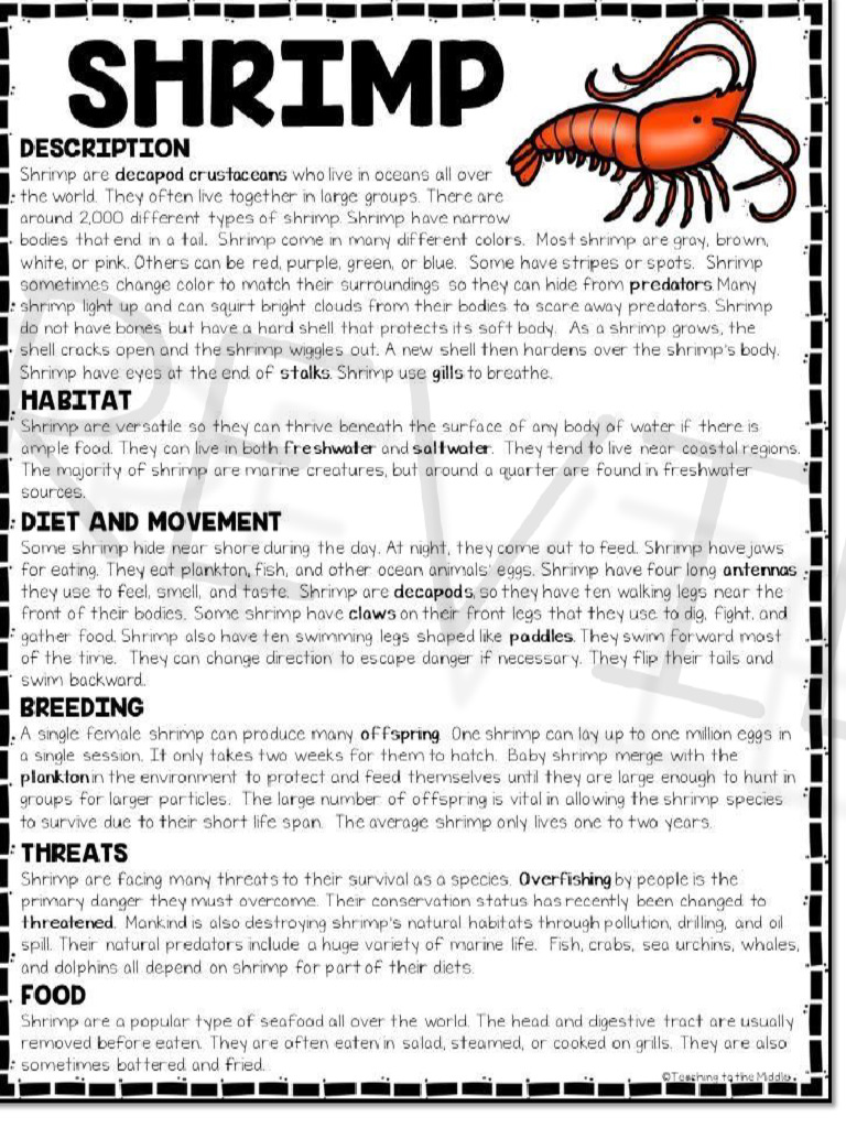 Demo Shrimp Reading Comprehension Worksheet Sea Ocean Creatures 4576796 ...