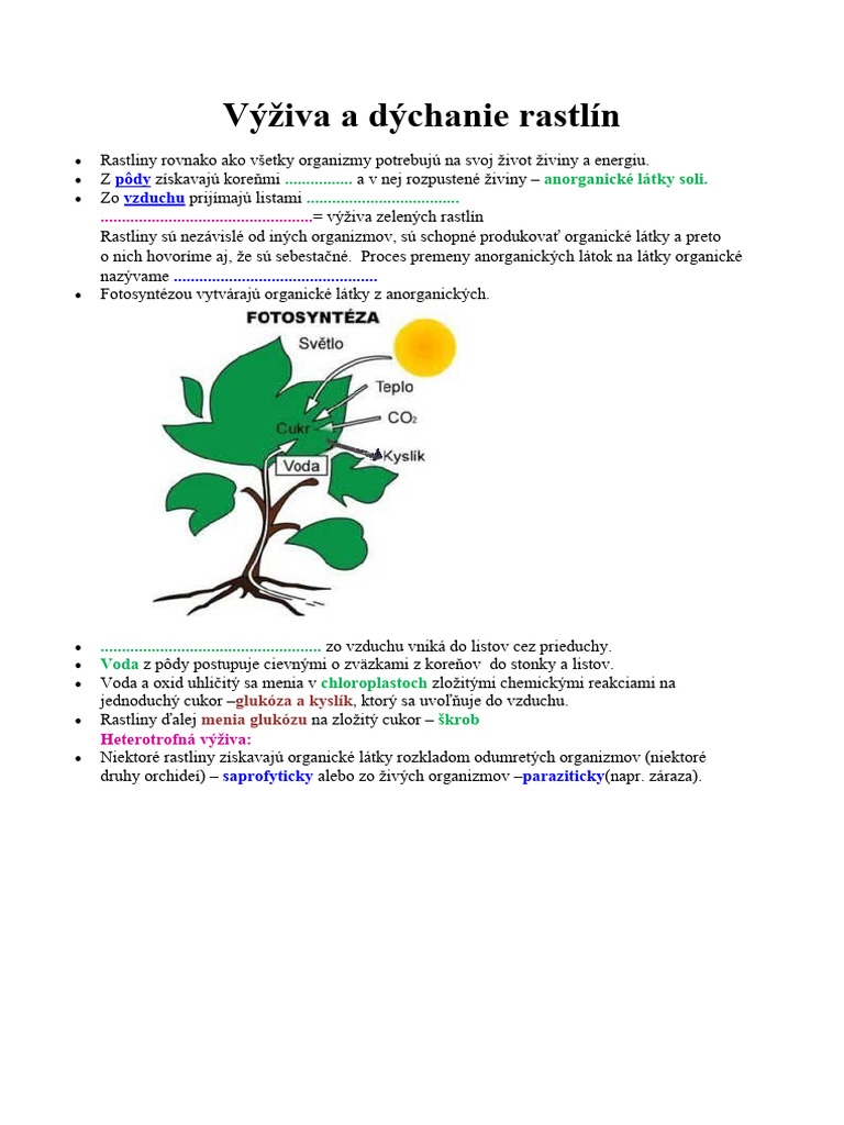 výživa a dýchanie rastlín doplňovačka | PDF