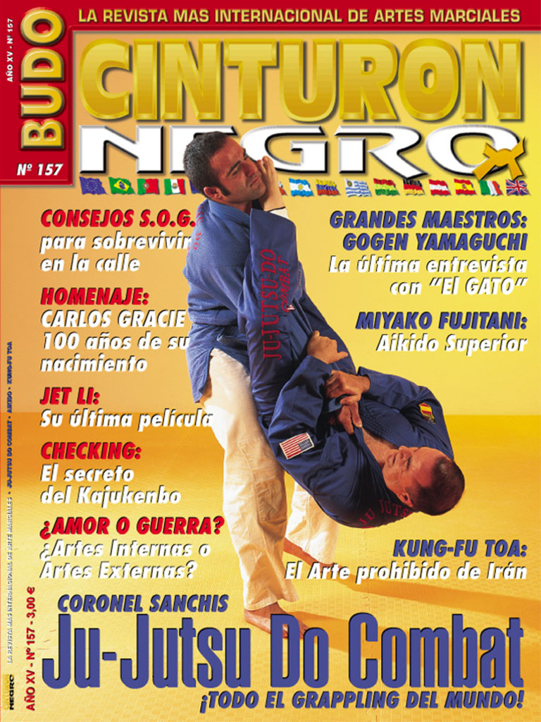 157 Budo Karate | PDF