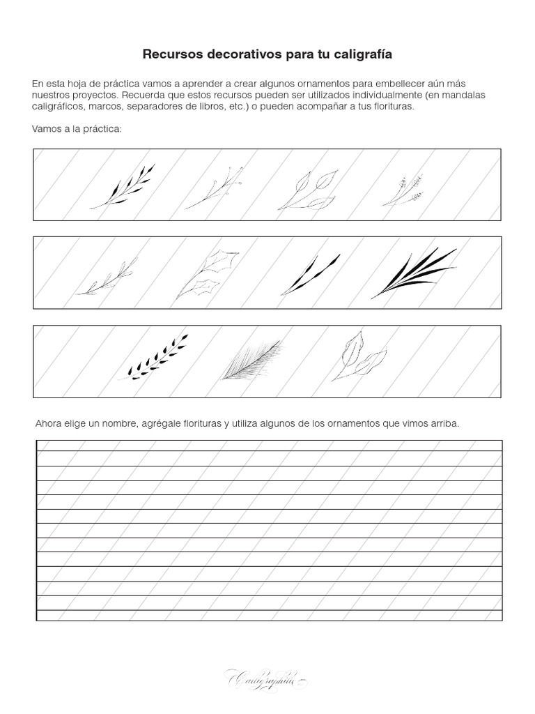 U5 - 01 - Ornamentos Botánicos | PDF