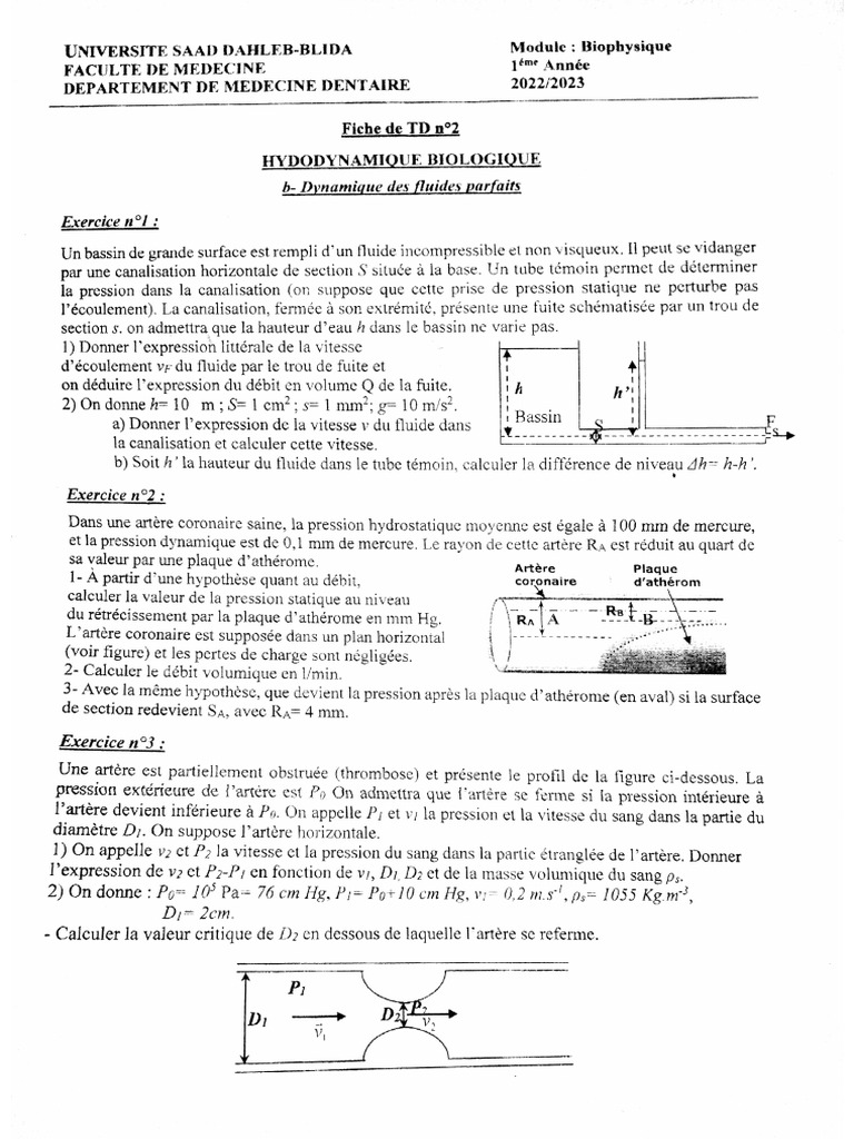TD2 - Dynamique Des Fluides Parfaits | PDF