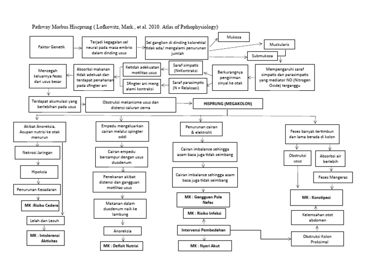 Pathway Hisprung | PDF
