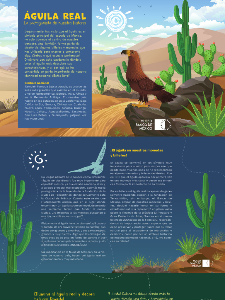 Aguila | PDF | México | Águila