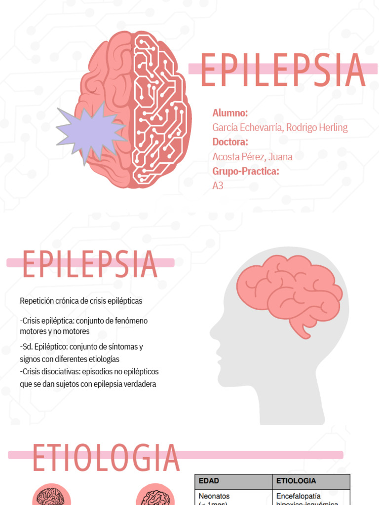 EPILEPSIA | PDF | Epilepsia | Neurociencia
