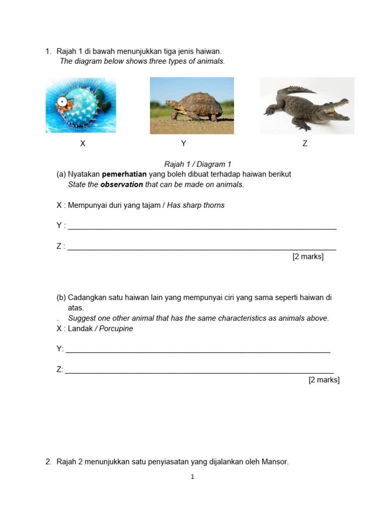 Sains DLP Kertas 2 Year 5 Mei 2021 | PDF