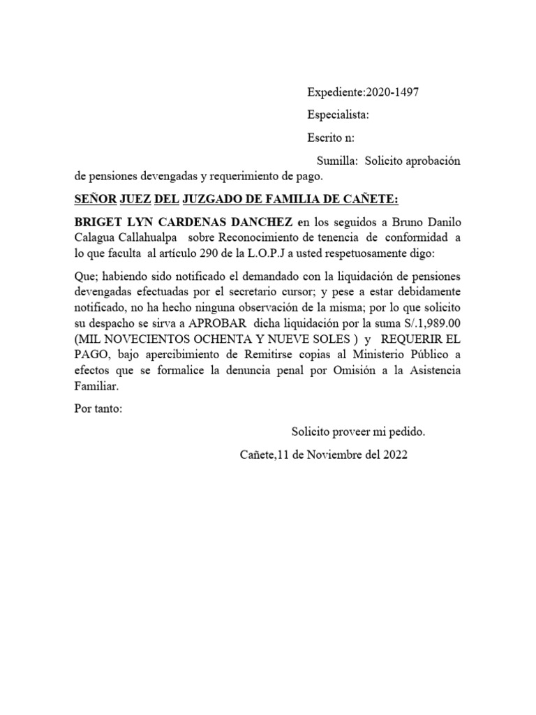 Solicito Aprobacion de Liquidacion | PDF Solicito Aprobacion de Liquidacion | PDF