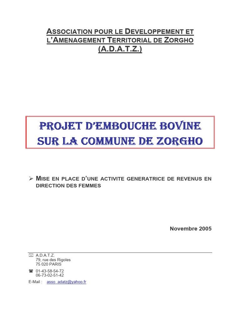 Projet Embouche Bovine | PDF