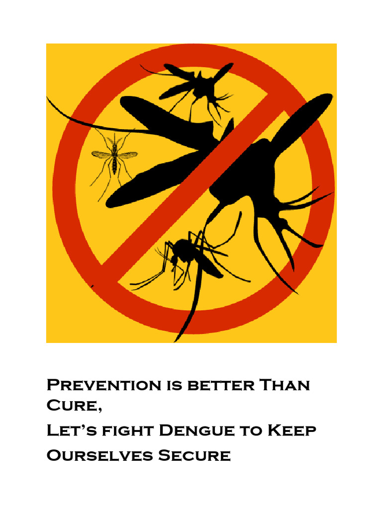 Dengue Awareness for Schools | PDF | Career & Growth | Business
