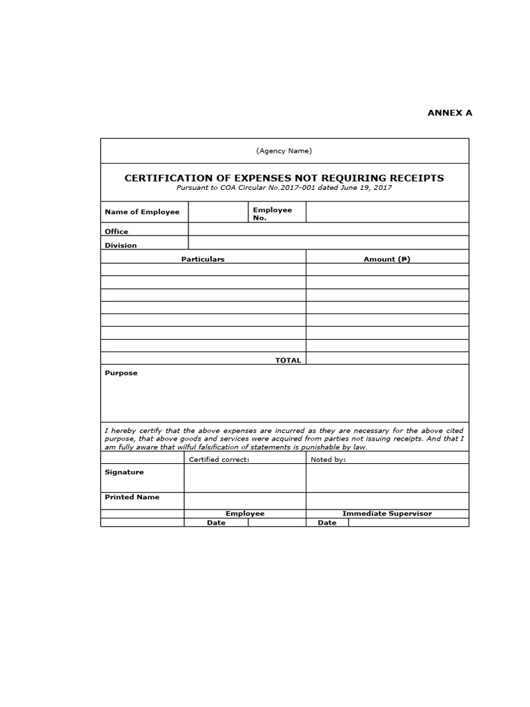 Certification of Expenses Without Receipts | PDF