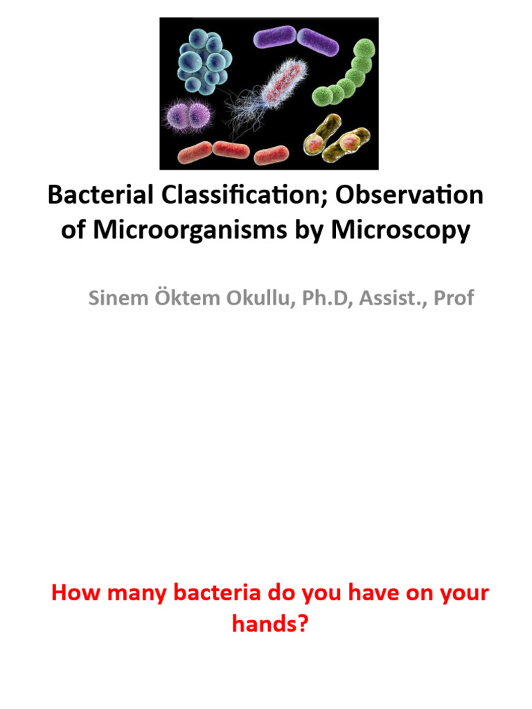 Bacterial Classification Observation of Microorganisms by Microscopy-1 ...