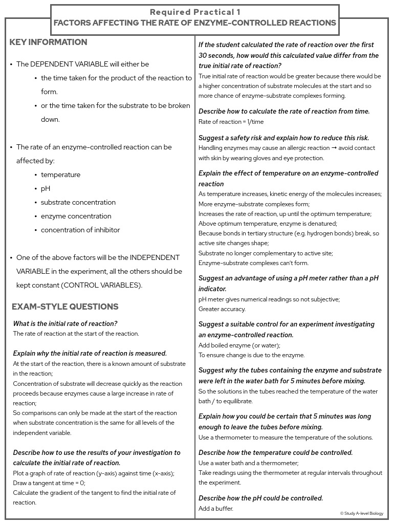 Required Practical Revision Sheets | PDF | Mitosis | Cell Membrane