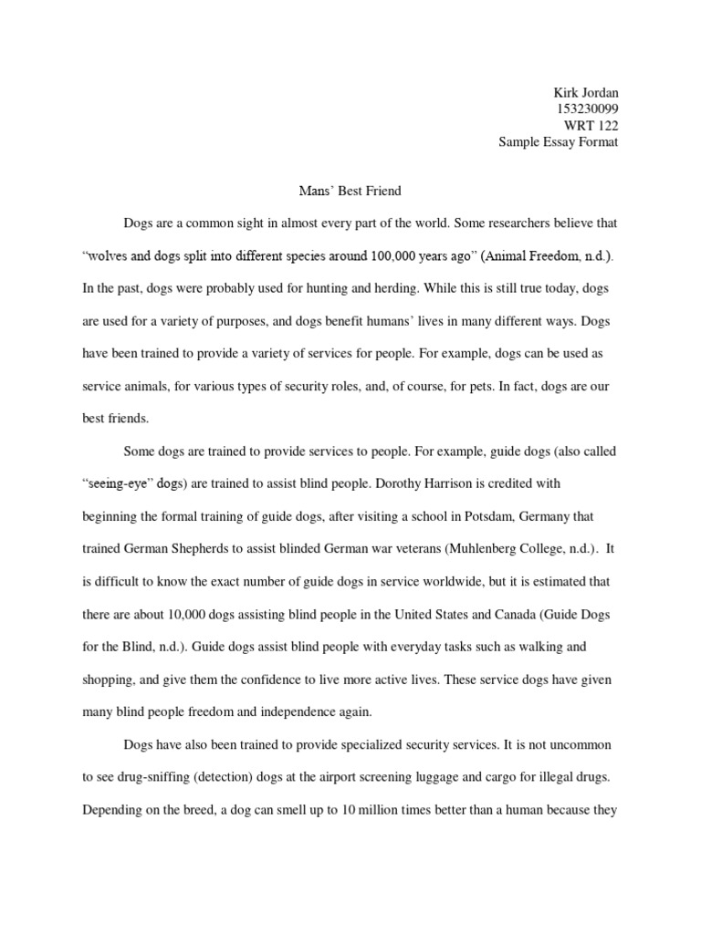5 Paragraph Essay Format - Sample | Download Free PDF | Dogs | Pet