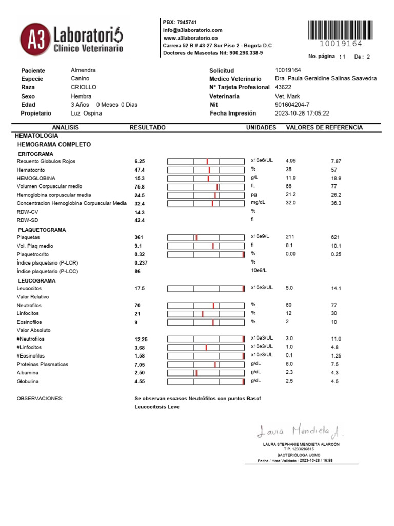 Almendra | PDF | Patologia clinica | Sangre