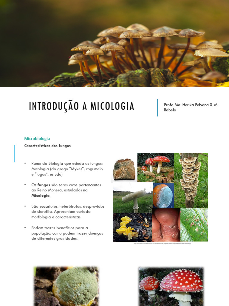 Introdução À Micologia | Download grátis PDF | Fungo | Fermento