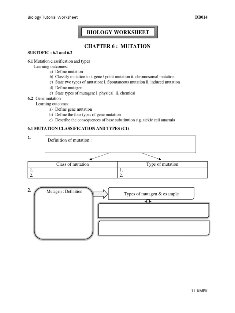 Bio Two Ses Chapter 6 | PDF | Nucleic Acid Sequence | Point Mutation