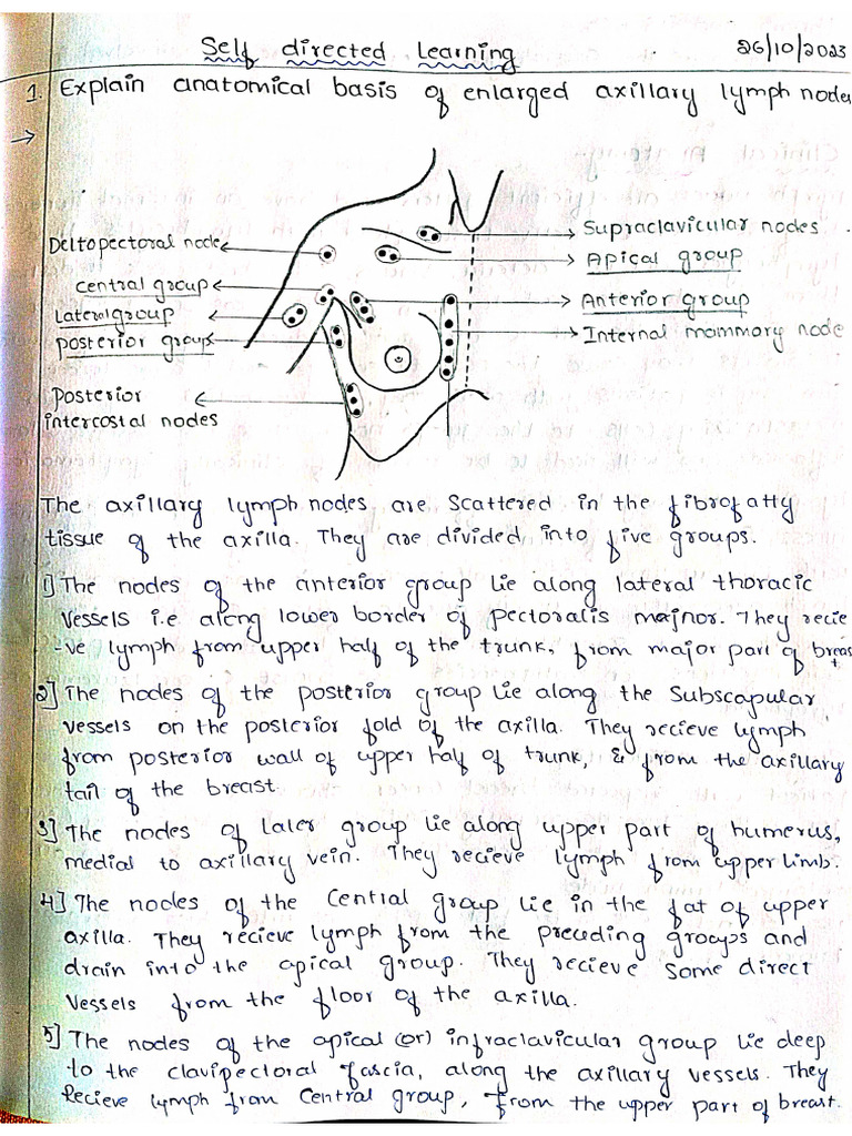 Gross Anatomy SDL | PDF