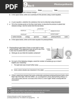 Photosynthesis Year 9 Questions | PDF | Photosynthesis | Leaf