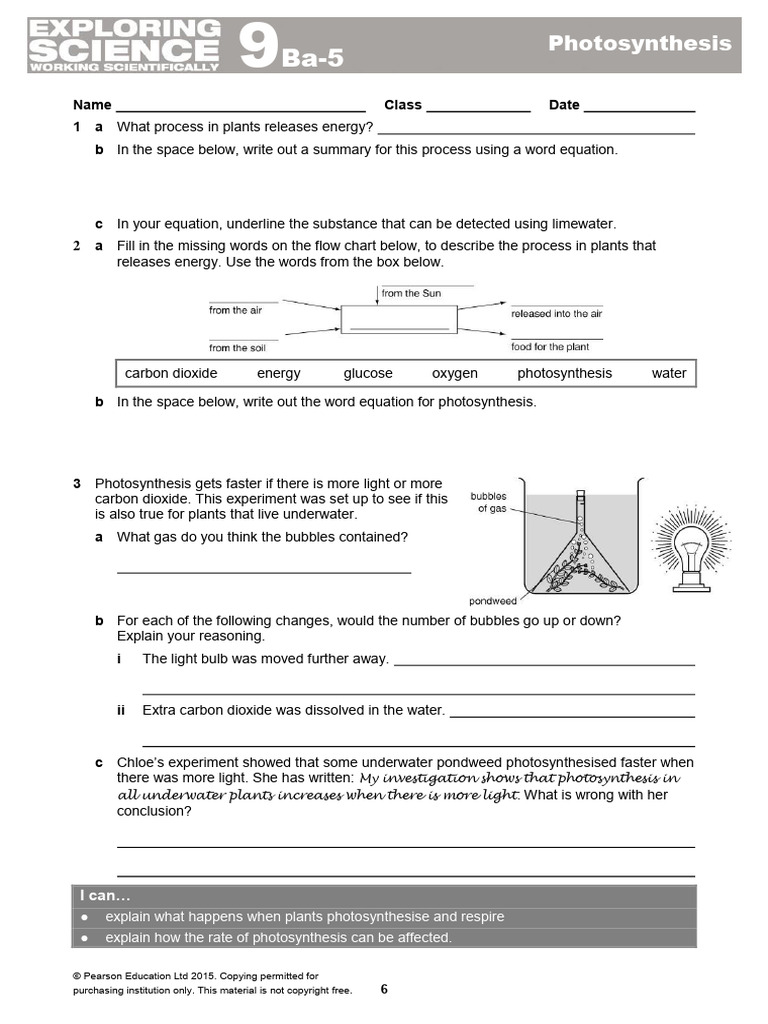 9ba-5 Photosynthesis | PDF