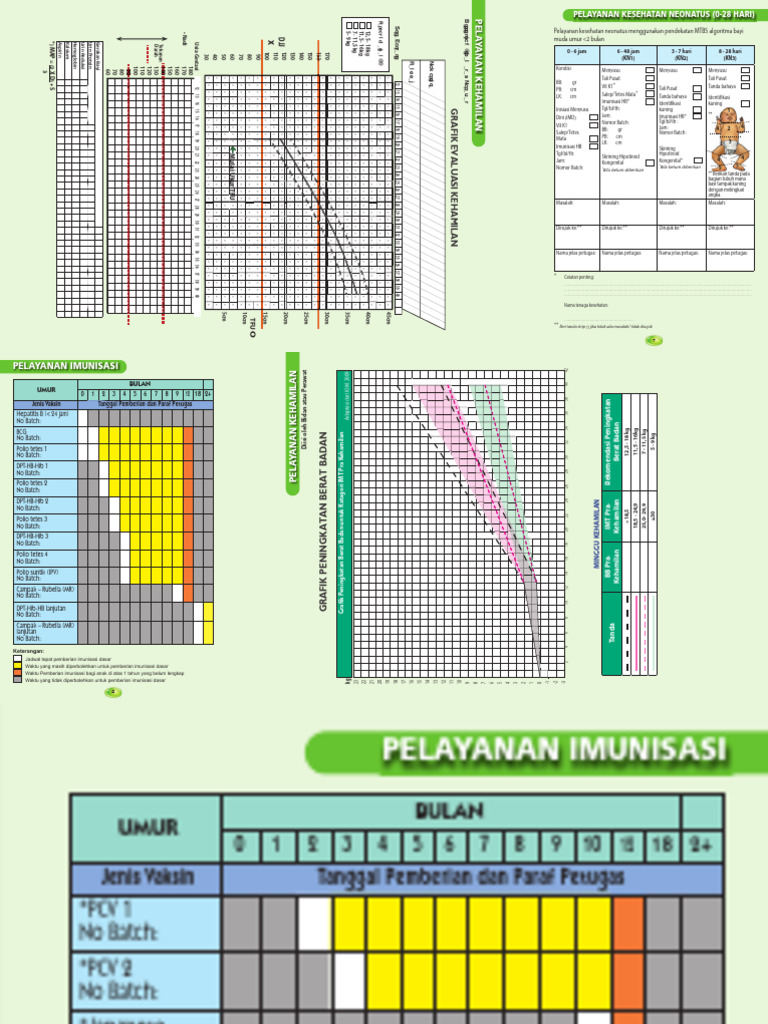 Anc - Imunisasi Bayi - Buku Kia Revisi 2021 Lengkap (Dragged) | PDF