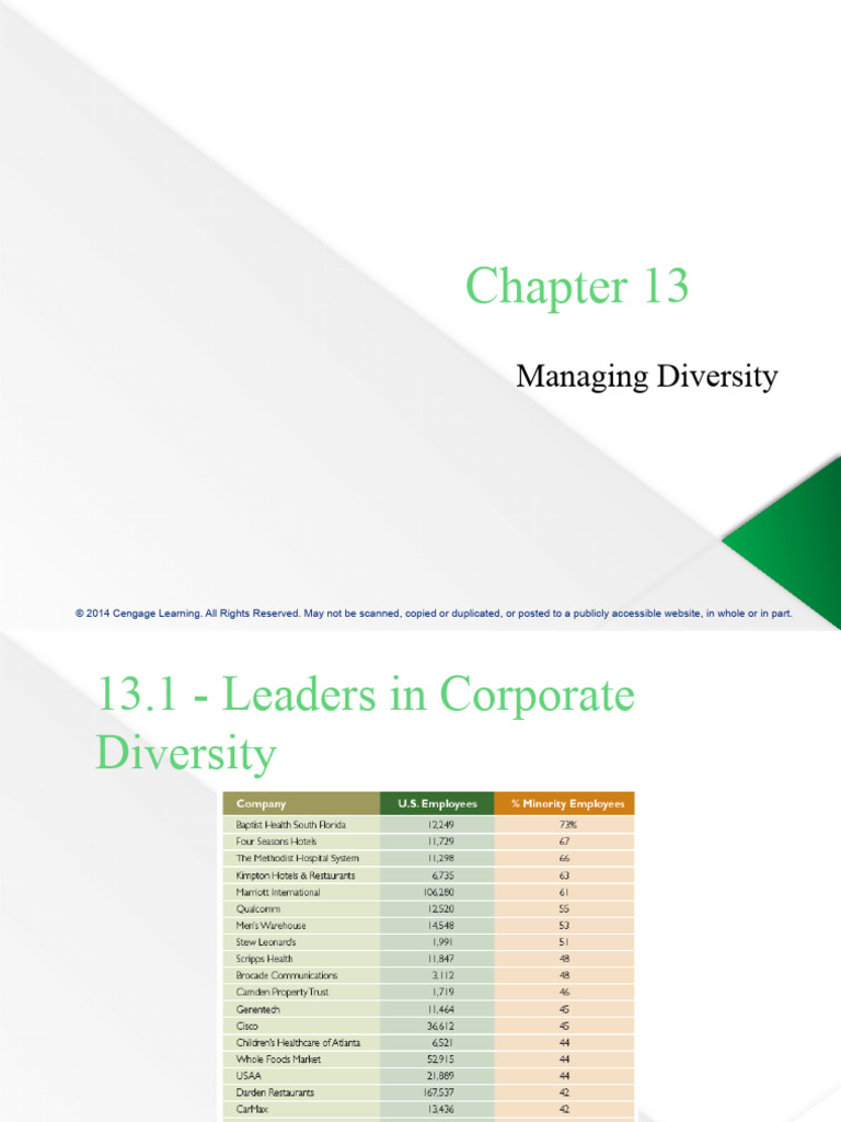 Daft11ePPT Ch13 | PDF | Multiculturalism | Social Psychology