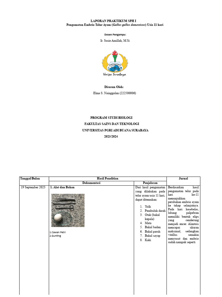 Laprak SPH Telur Ayam Usia 11 Hari - Elma S. Naonggolan | PDF