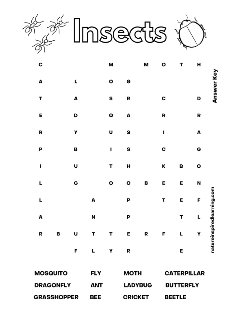 Insect Word Search Nature Inspired Learning | PDF