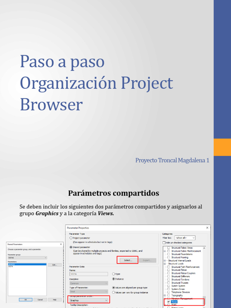 Organización Project Browser | PDF