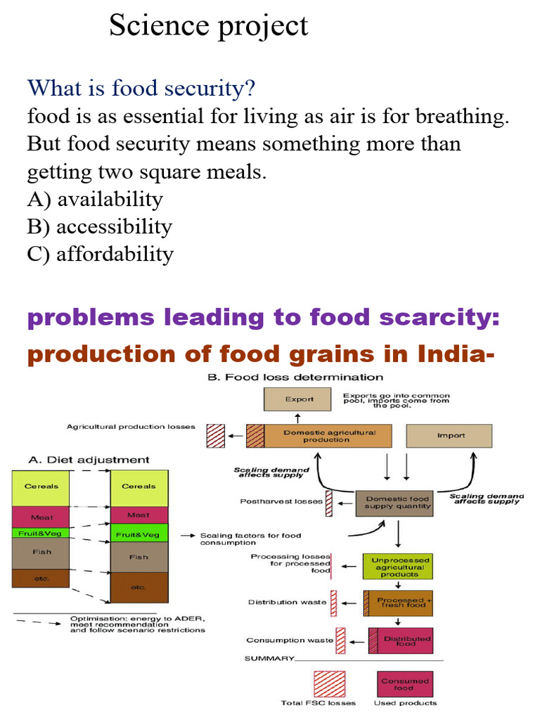 Science Project | PDF | Agriculture | Food Security