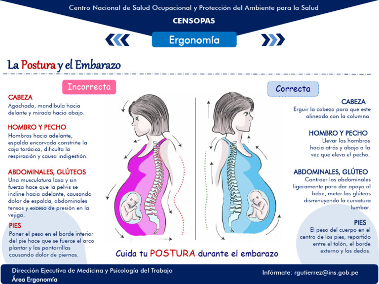 La Postura y Embarazo | PDF | Anatomía humana