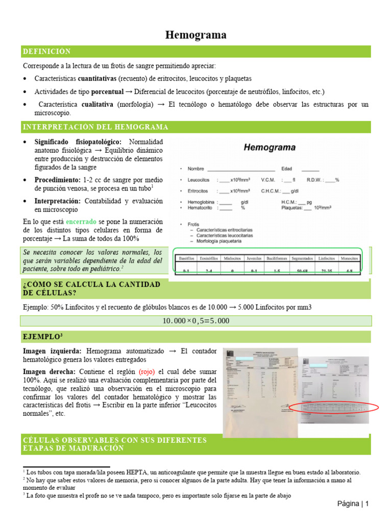 Hemograma | PDF | Leucocito | Anemia