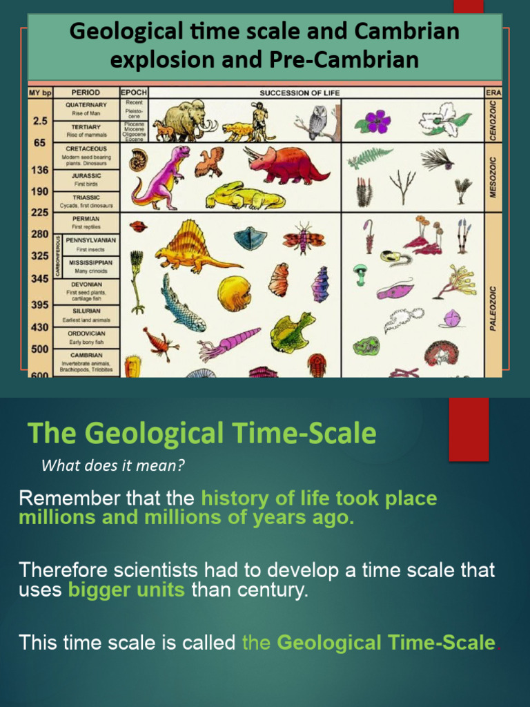 PP29. Geological Time Scale and Cambrian Explosion | PDF | Geologic ... PP29. Geological Time Scale and Cambrian Explosion | PDF | Geologic ...