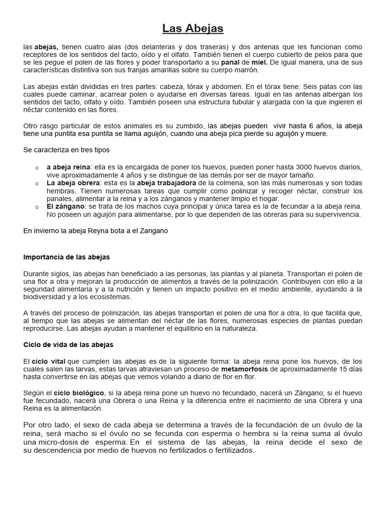 Las Abejas | PDF | Abejas | Insectos