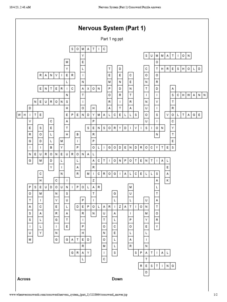 Nervous System Crossword Answers | PDF | Neuron | Myelin