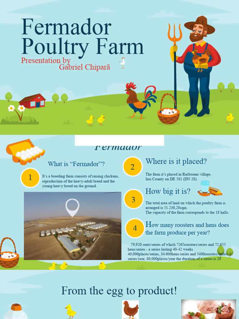 Fermador - Poultry FARM | PDF | Chicken | Poultry