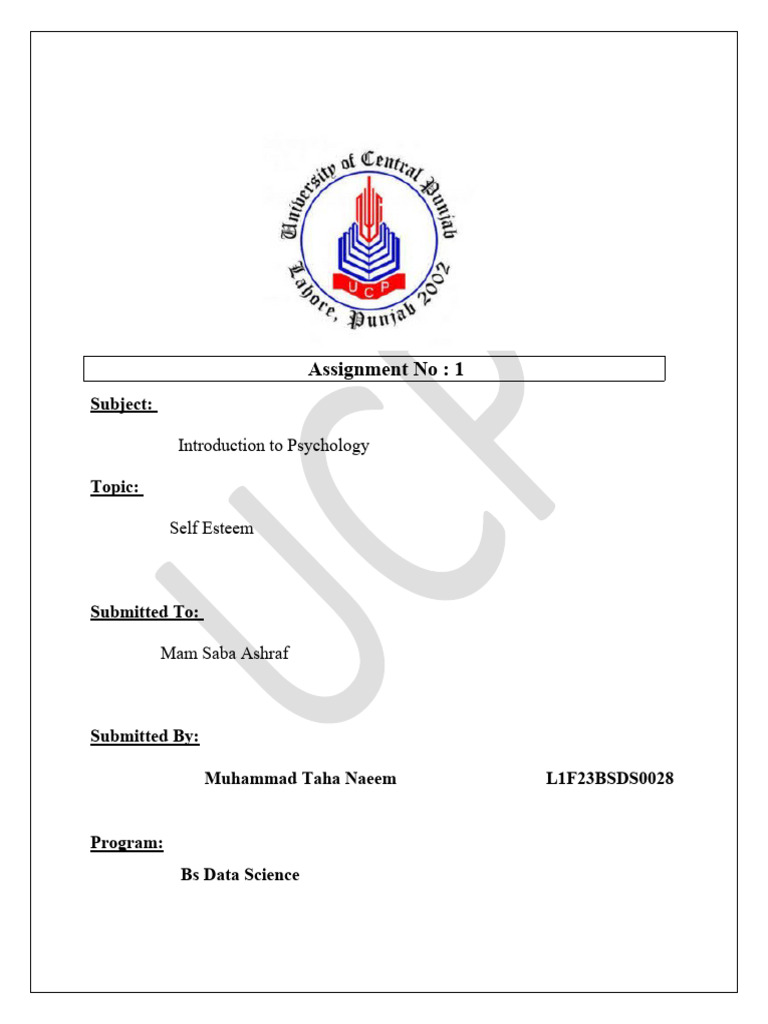 Assignment No.1 | PDF | Self Esteem | Subjective Experience