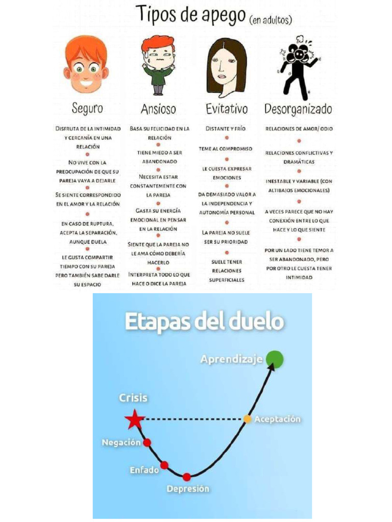Etapas de Duelo y Tipos de Apego | PDF