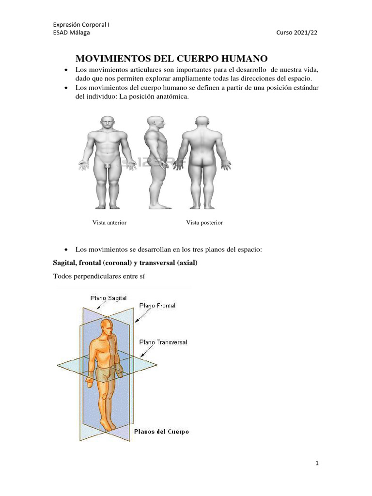 Movimientos y Planos | Descargar gratis PDF | Términos anatómicos de ...