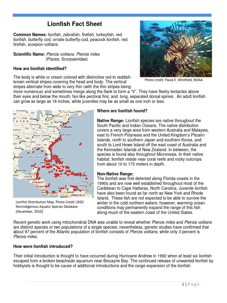 Lionfish Factsheet | Download Free PDF | Coral Reef | Fish