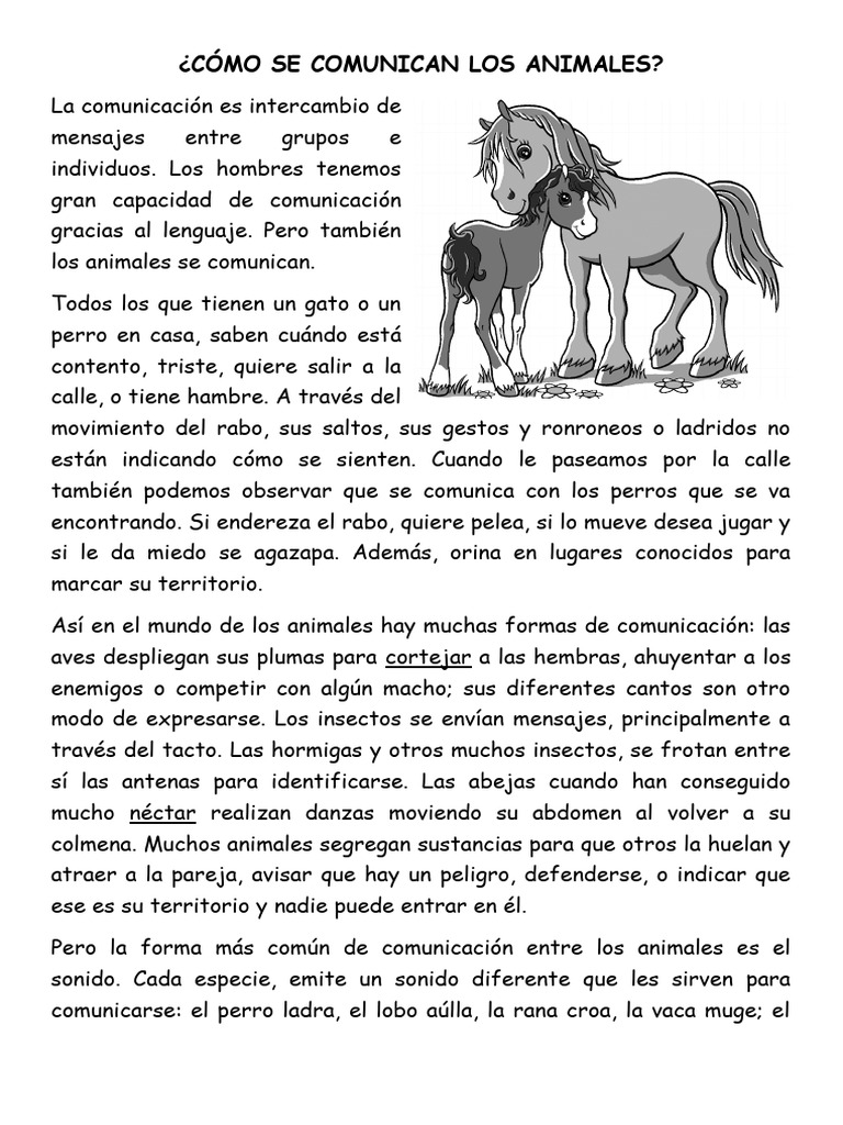 Cómo Se Comunican Los Animales - 23 de Oct | PDF