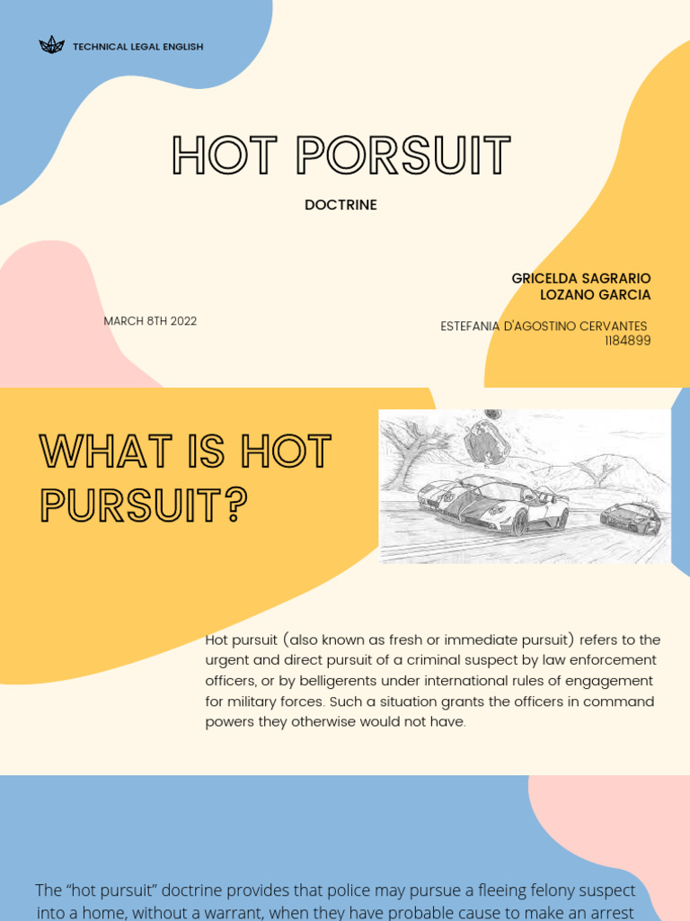 Hot Pursuit | PDF | Civil Law (Common Law) | Public Law