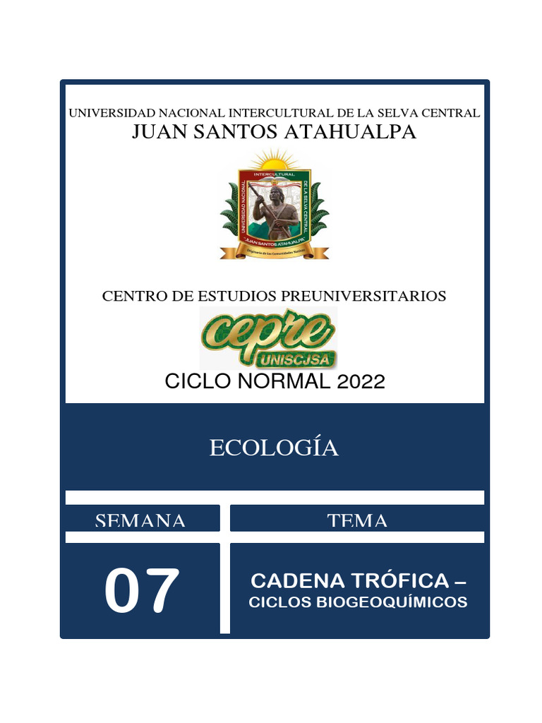 Semana 7 Ecología | Descargar gratis PDF | Red alimentaria | Ecología