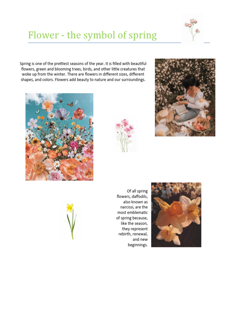 Flower The Symbol of Spring | PDF
