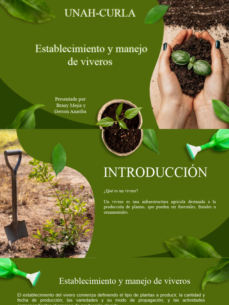 Establecimiento y Manejo de Vivero | PDF | Plantas | Riego