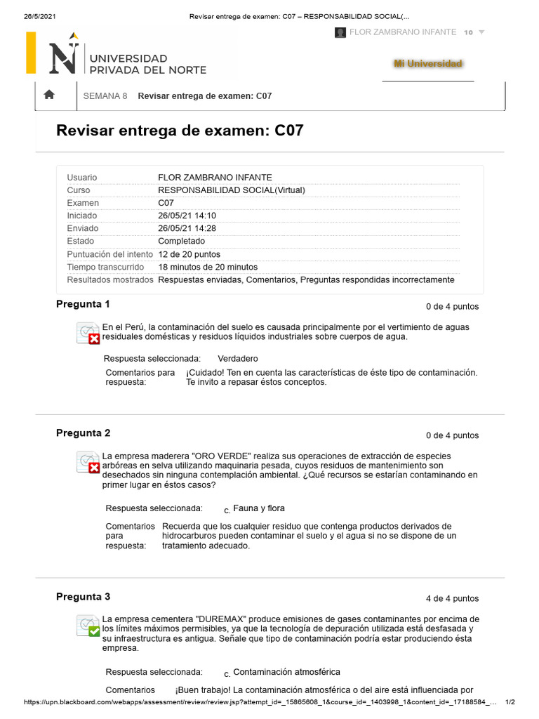 Revisar Entrega de Examen - C07 - RESPONSABILIDAD SOCIAL (.. | PDF | Contaminación | Entorno natural