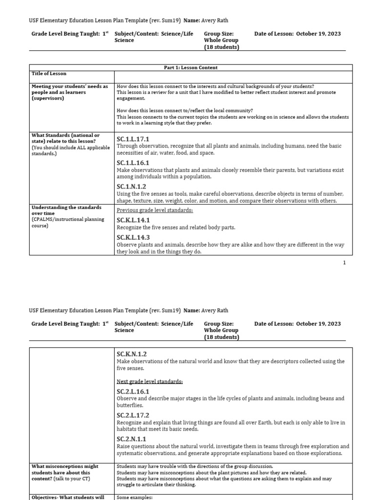 Supervisor Lesson Plan 1 | PDF | Lesson Plan | Differentiated Instruction