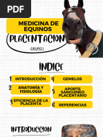 Atlas Del Desarrollo Embrionario Del Perro Embriologia - Compress | PDF ...