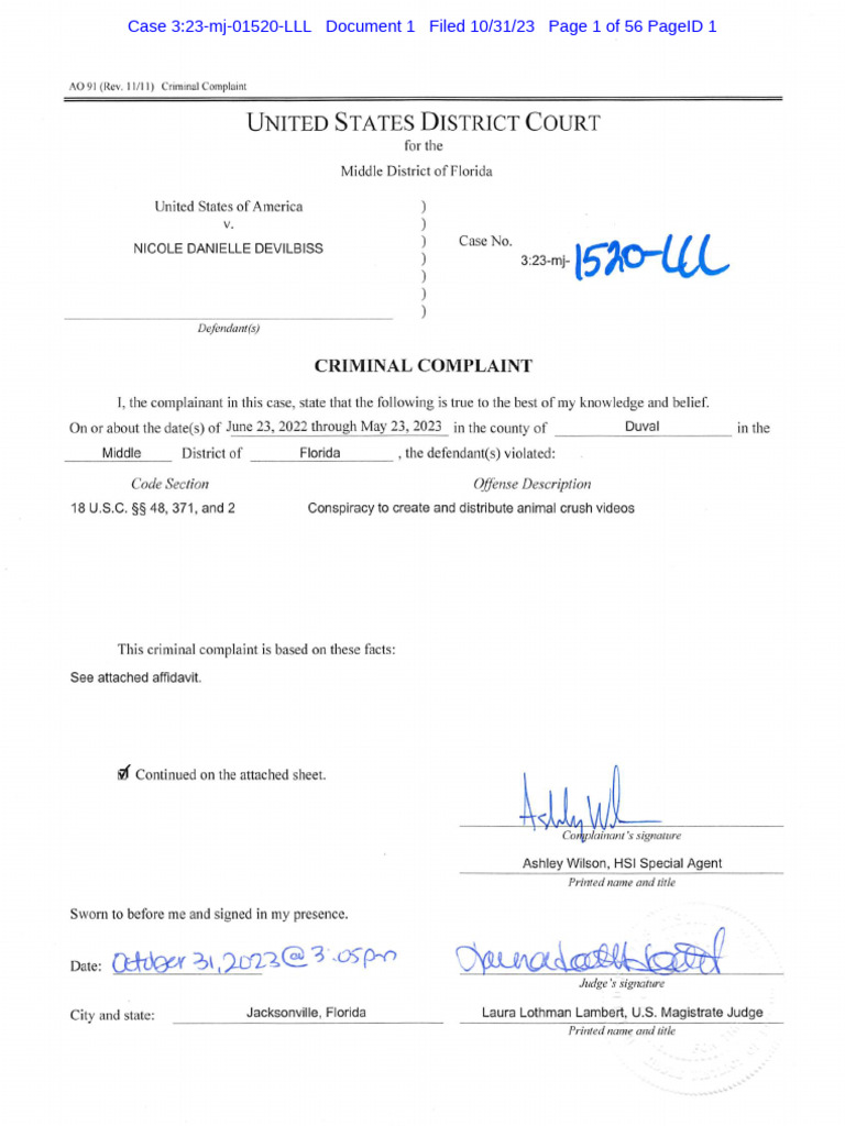Nicole Devilbiss Criminal Complaint | PDF | Legal Procedure | Judiciaries
