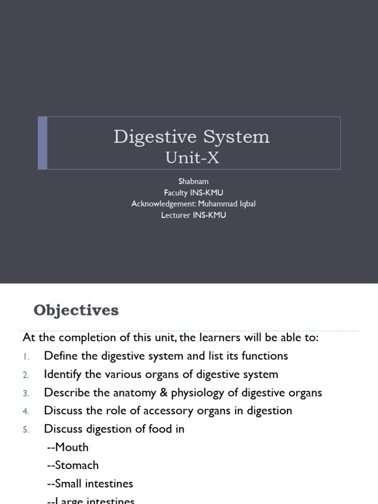 Digestive System (Unit X) | PDF | Stomach | Gastrointestinal Tract