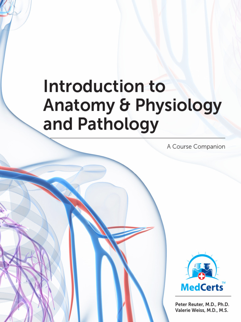 Module 2 Introduction To Anatomy & Physiology and Pathology-1 | PDF ...